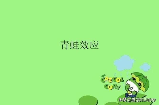 Poached? Really no escape? What does "? Frog Effect" mean? - iNEWS