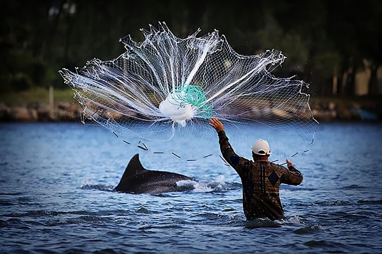 The dolphin that helps humans fish, it's our best friend - iNEWS
