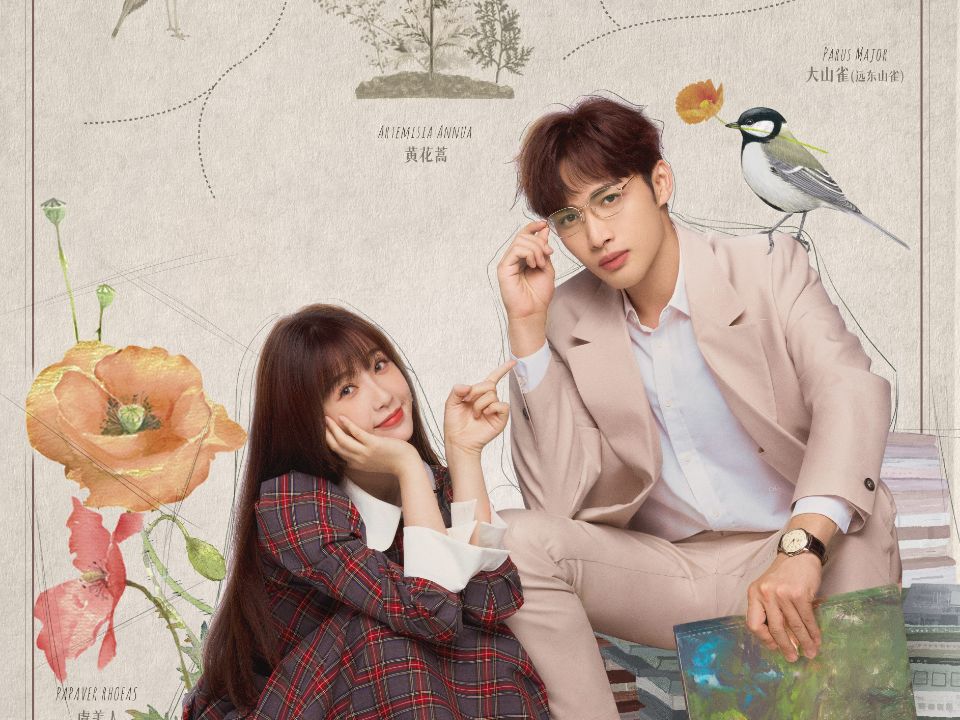 The ending of the 4 male protagonists of "The Little Forest for Two ...