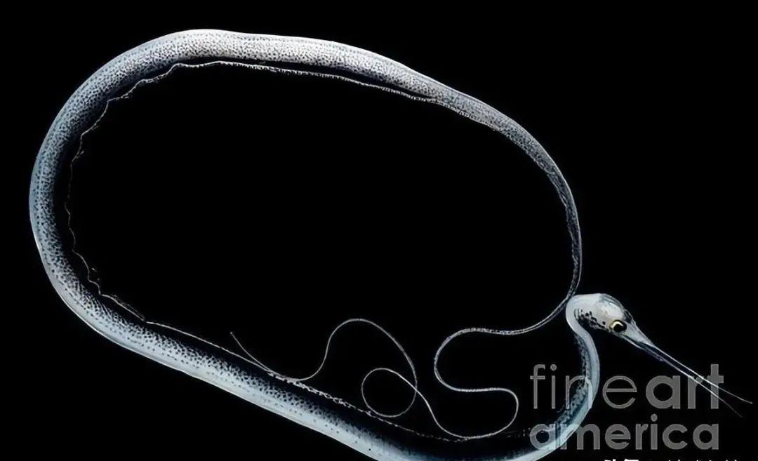 32 photos that I haven't seen for a long time: there are murderous ...