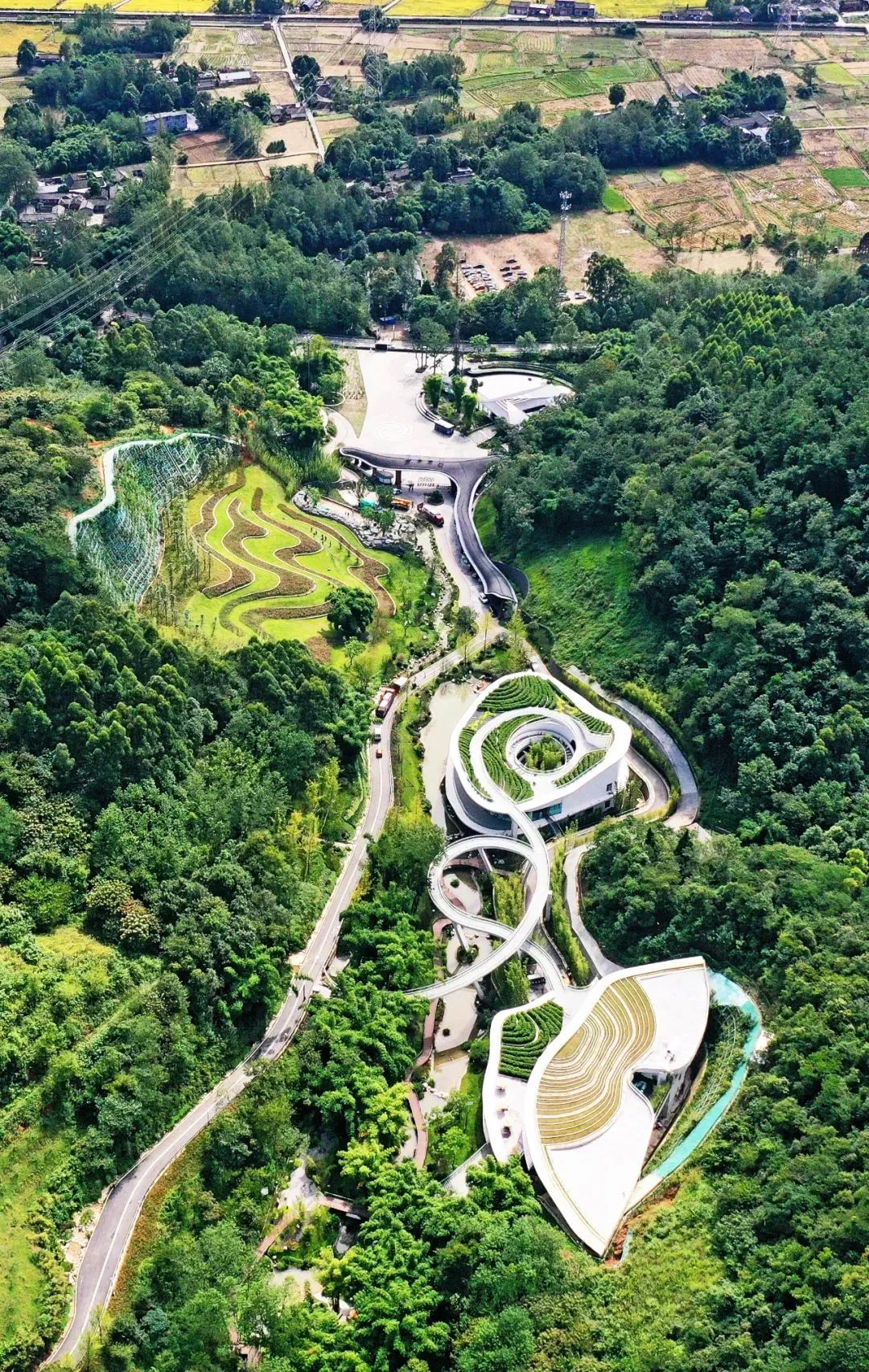 The "Bamboo Forest Secret Realm" in Chengdu is cool and fun~ - iNEWS