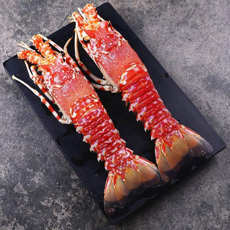 A Linyi man accidentally caught a rose lobster and was stopped on the ...