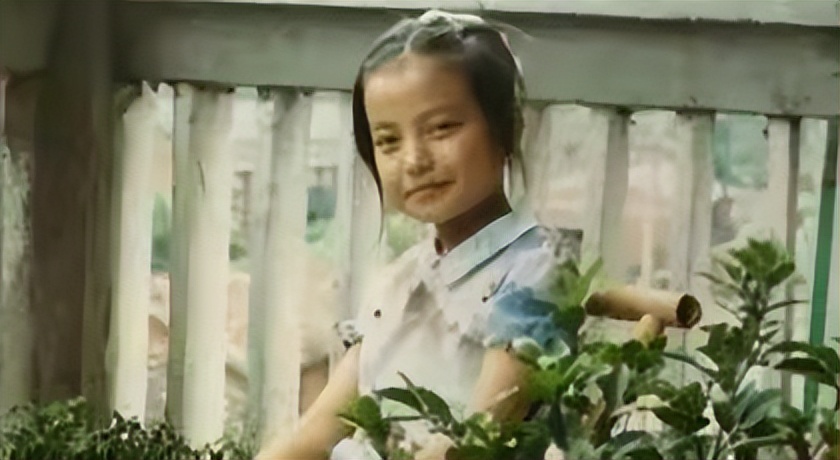 From "Chinese Superstar" to "No Such Person", the 47-year-old Zhao Wei ...