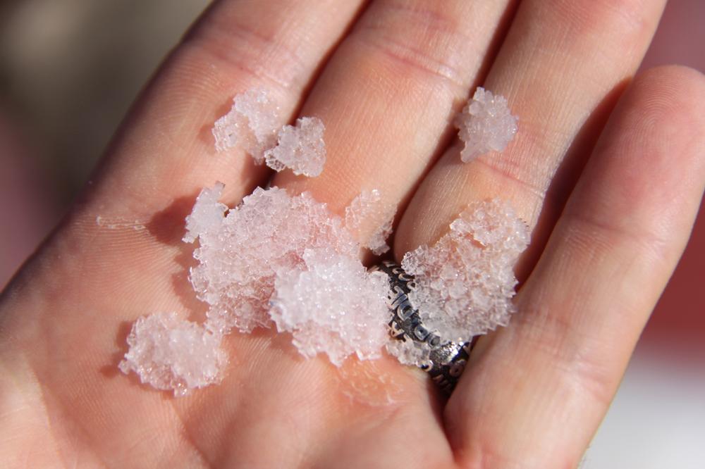 Diamonds in the Salt World: Flowers of Salt - iMedia