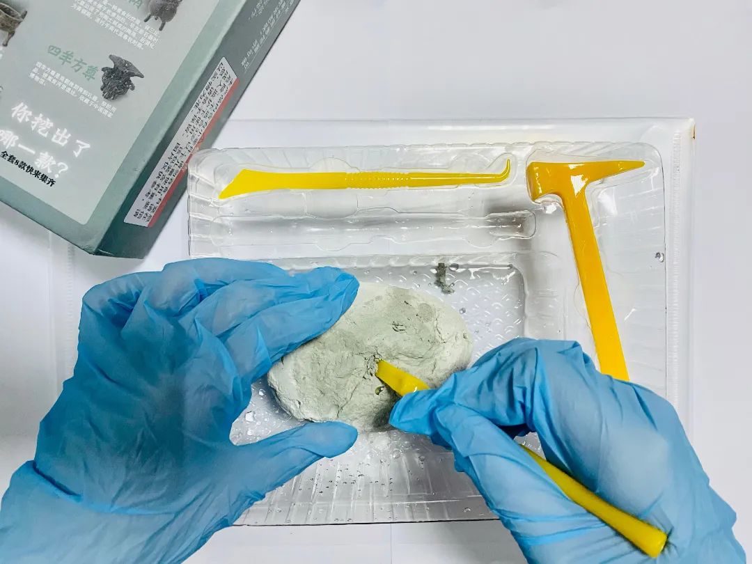 Digging for National Treasures in the Museum!Cultural innovation ...