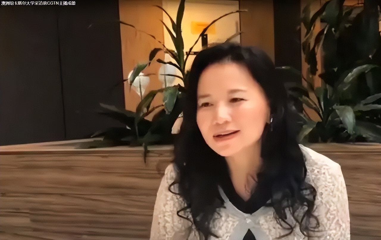 Chinese scholar Cheng Lei: Hidden in CCTV for 20 years, leaking a lot ...