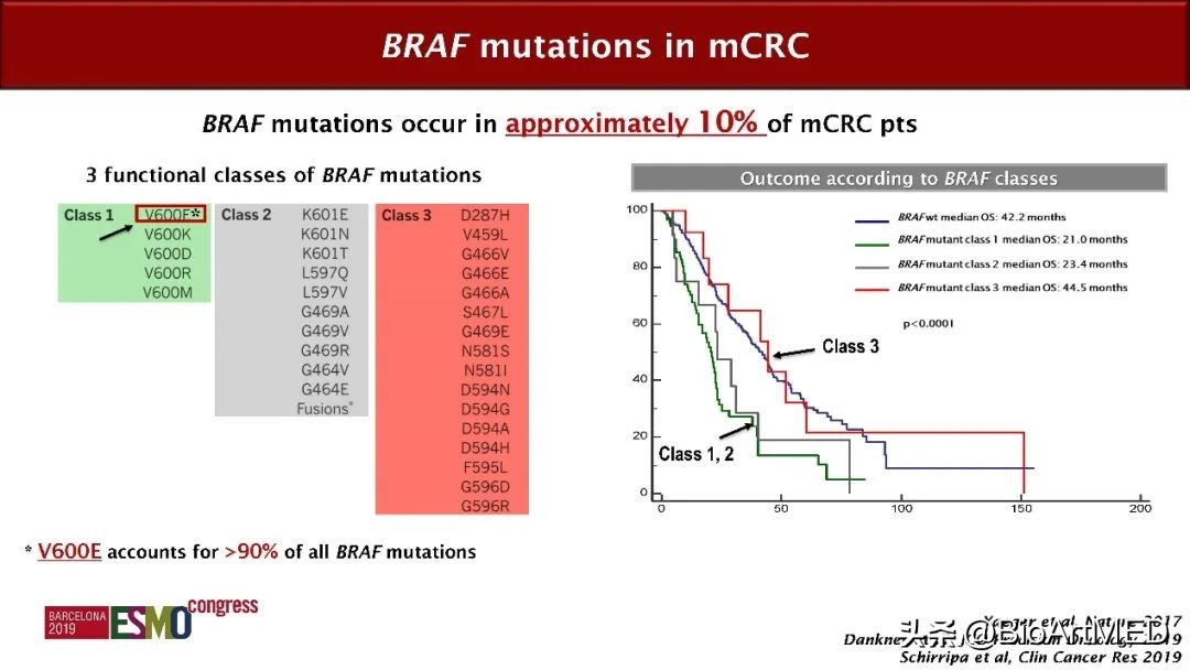 Discovery of biomarkers predicting sensitivity to anti-BRAF/EGFR ...