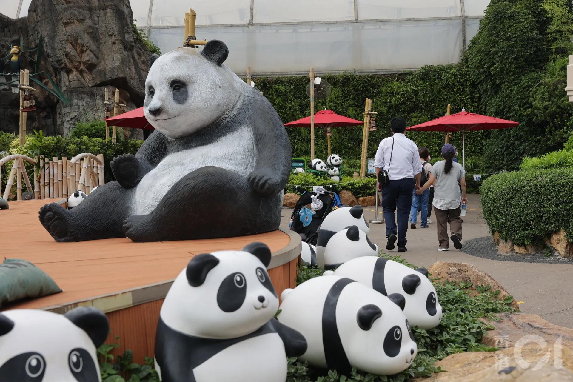 The giant panda "An An" who accompanied Hong Kong for 23 years now dies ...