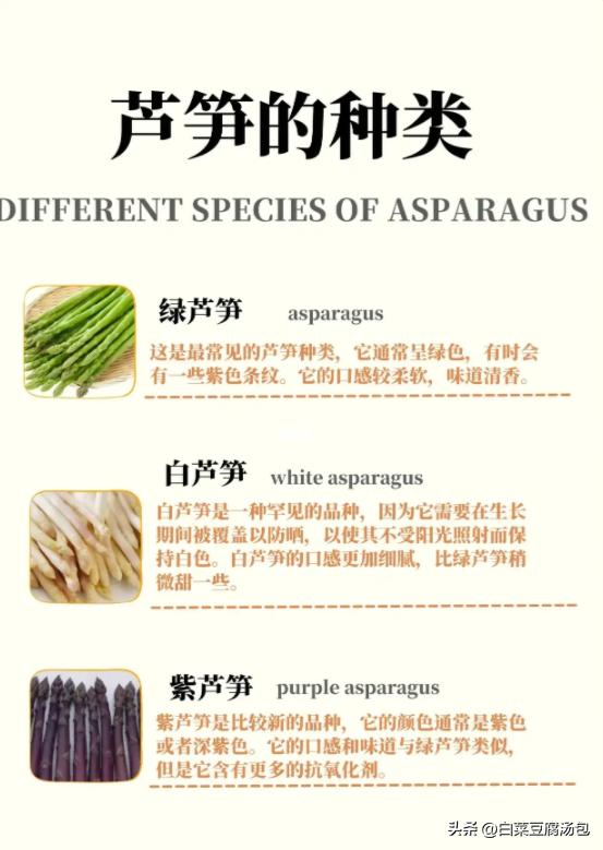 Asparagus Nutrition and How to Cook It - iNEWS