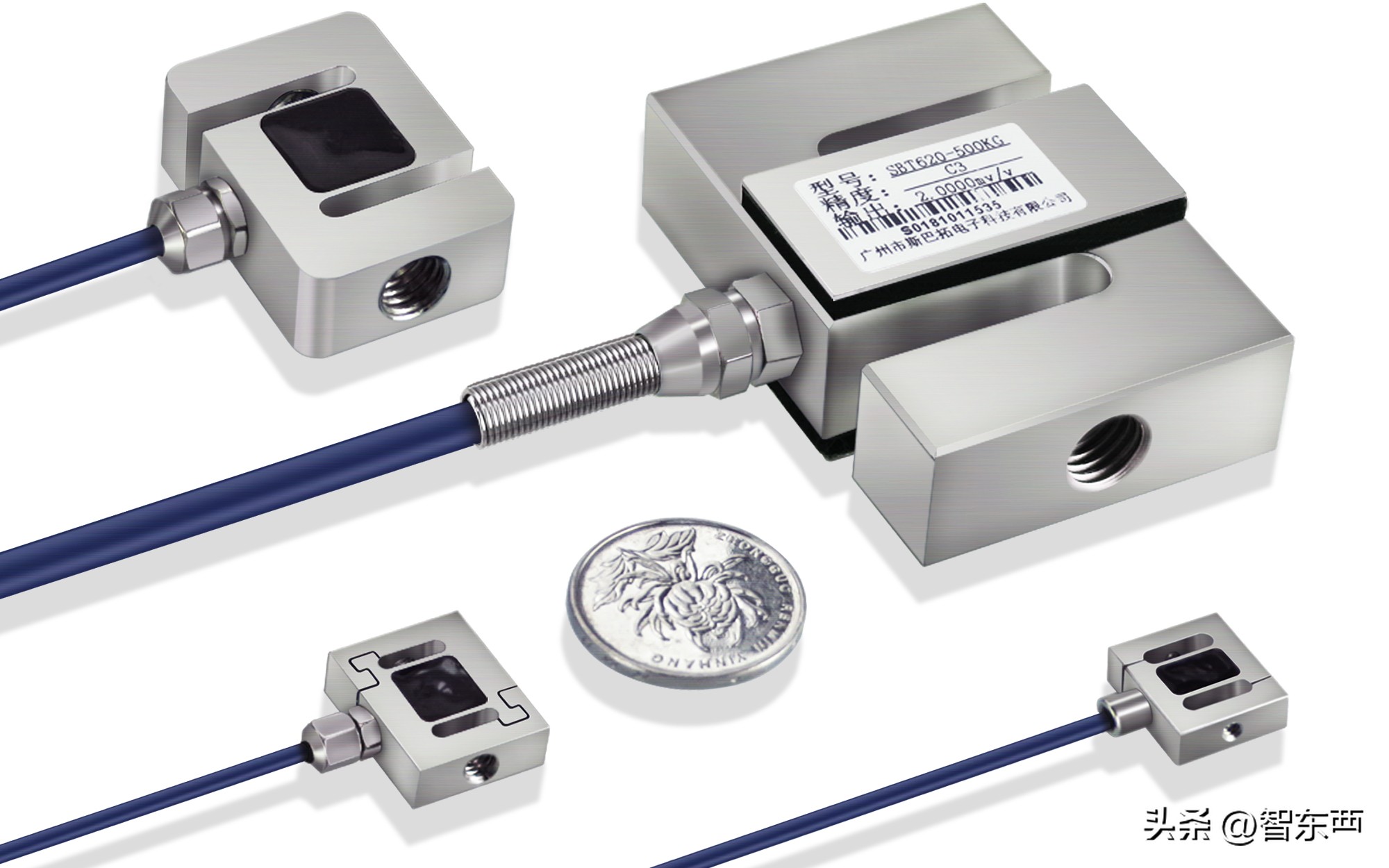 "Deciphering the Sensor World: Exploring Top Sensor Brands and Smart ...