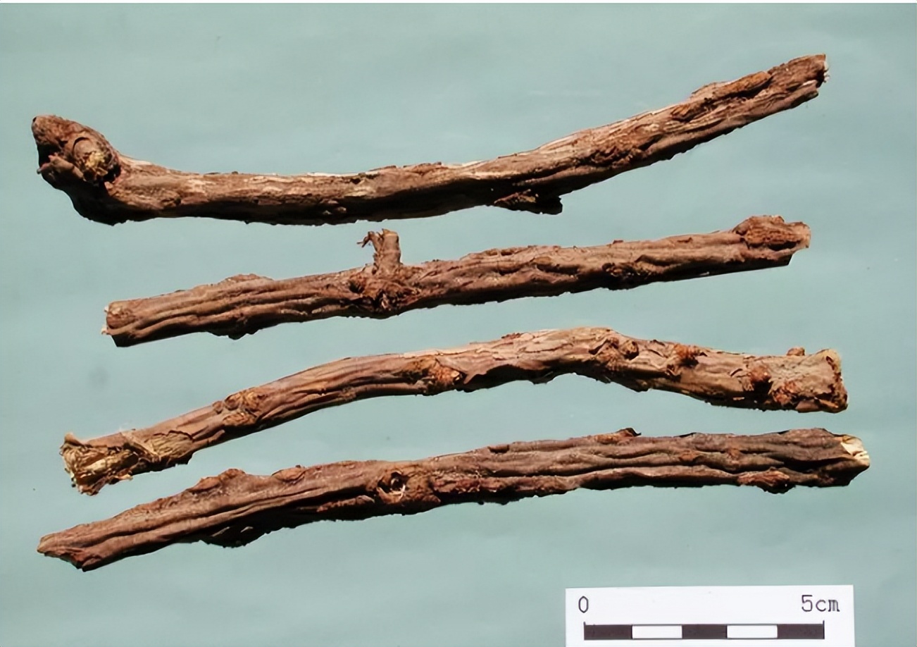 Take you to identify licorice - iNEWS