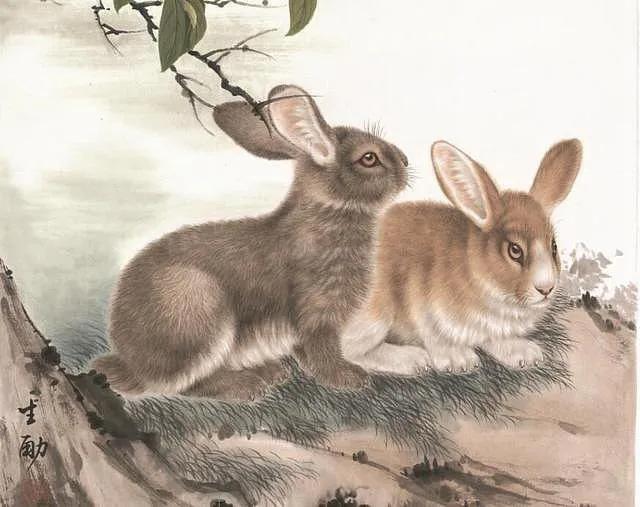 In October, the zodiac sign Rabbit shakes the earth, and something big ...