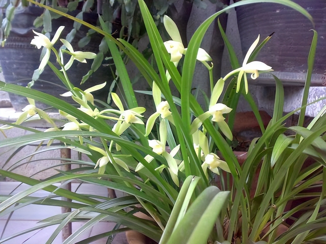 These constellations are mild-tempered, kind and quiet, and have a ...