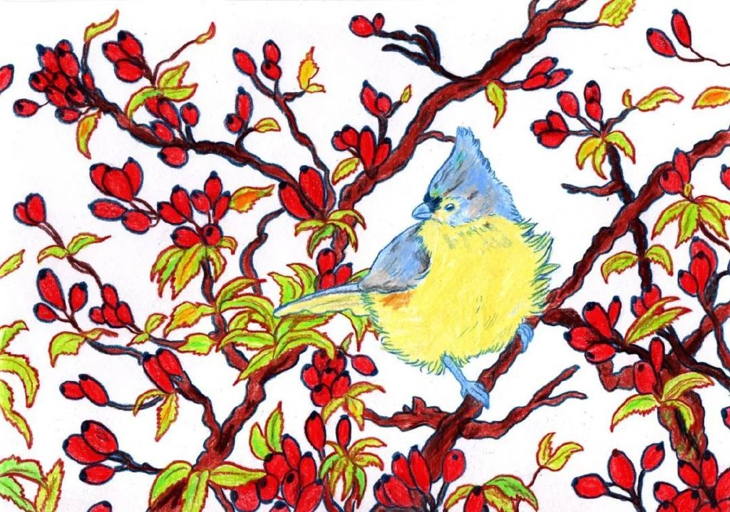 British Illustrator - Hannah Lock - iNEWS