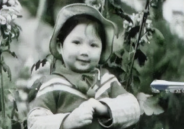 Yin Tao's "pornographic photos" were picked up? The ex-husband was ...