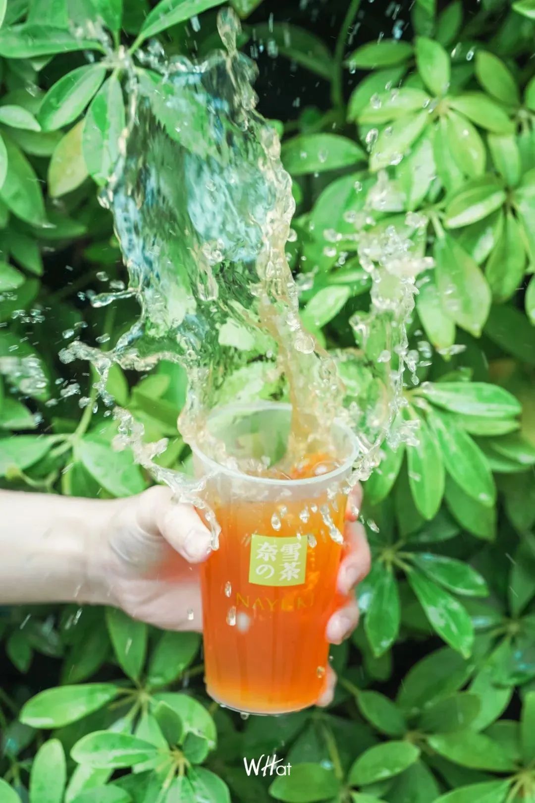 New "Sour and Spicy Fruit Tea" in Wuhan, get Naixue "Hidden Menu" - iNEWS