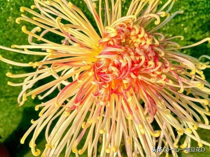 Life of bitterness and happiness in seven character poems - iNEWS