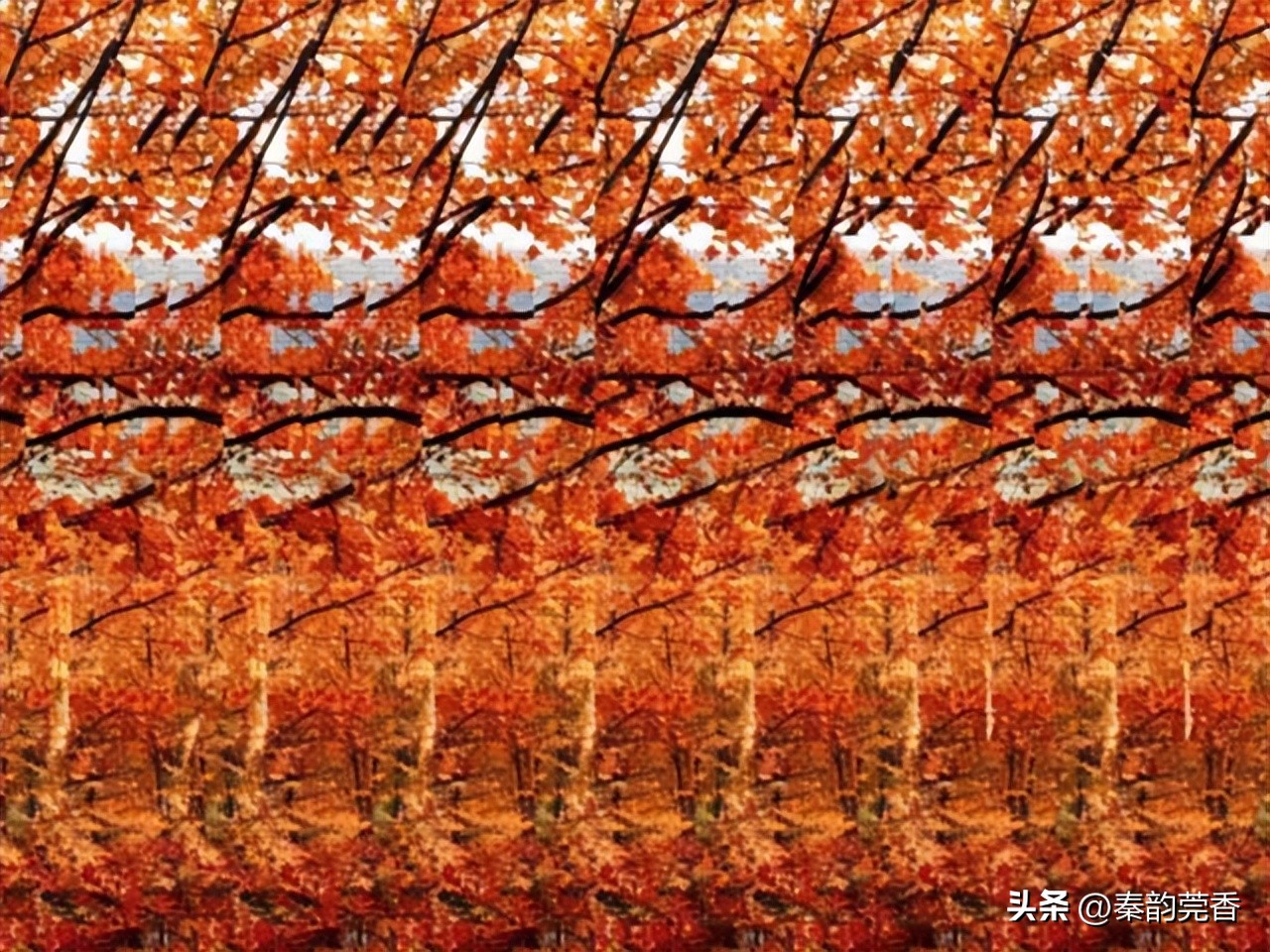 How to see the three-dimensional stereogram?The picture actually hides ...