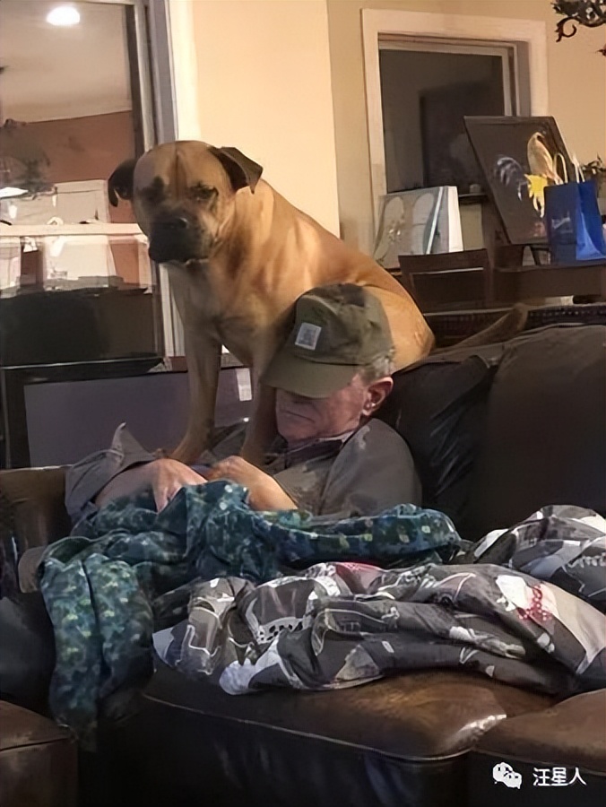 Dad takes a nap with different dogs every day, and his daughter ...