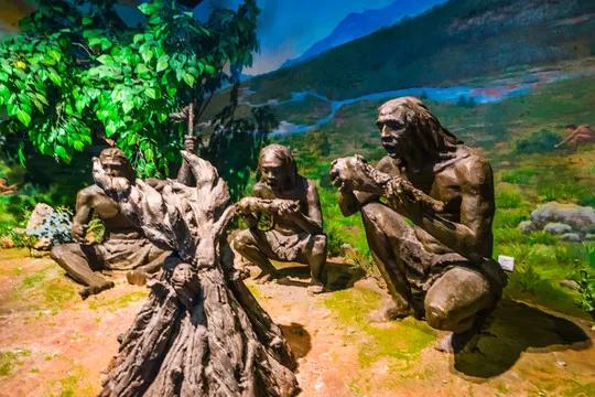 Reproduce millions of years ago: primitive human ancestors, so that the ...