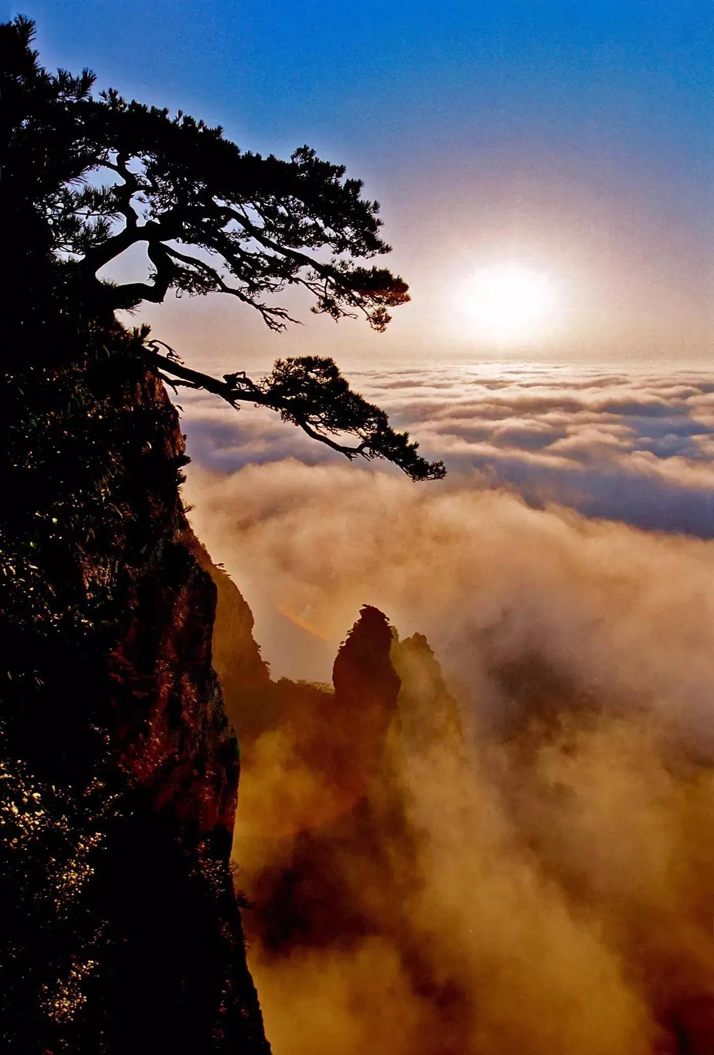 Read thousands of books, travel thousands of miles - read "Looking at ...