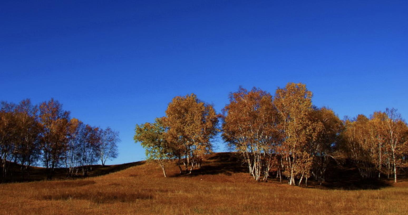 Seemingly lonely, but actually the most powerful constellation - iNEWS