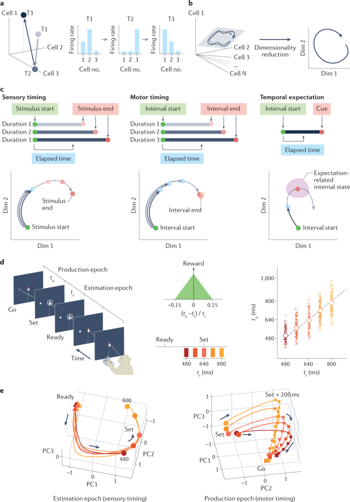 Nat Rev Neurosci Review: How to Sense Time? - iNEWS