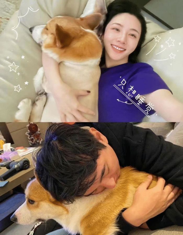 Wang Sicong is suspected of turning his head back?The new girlfriend is actually the ex Chen ...