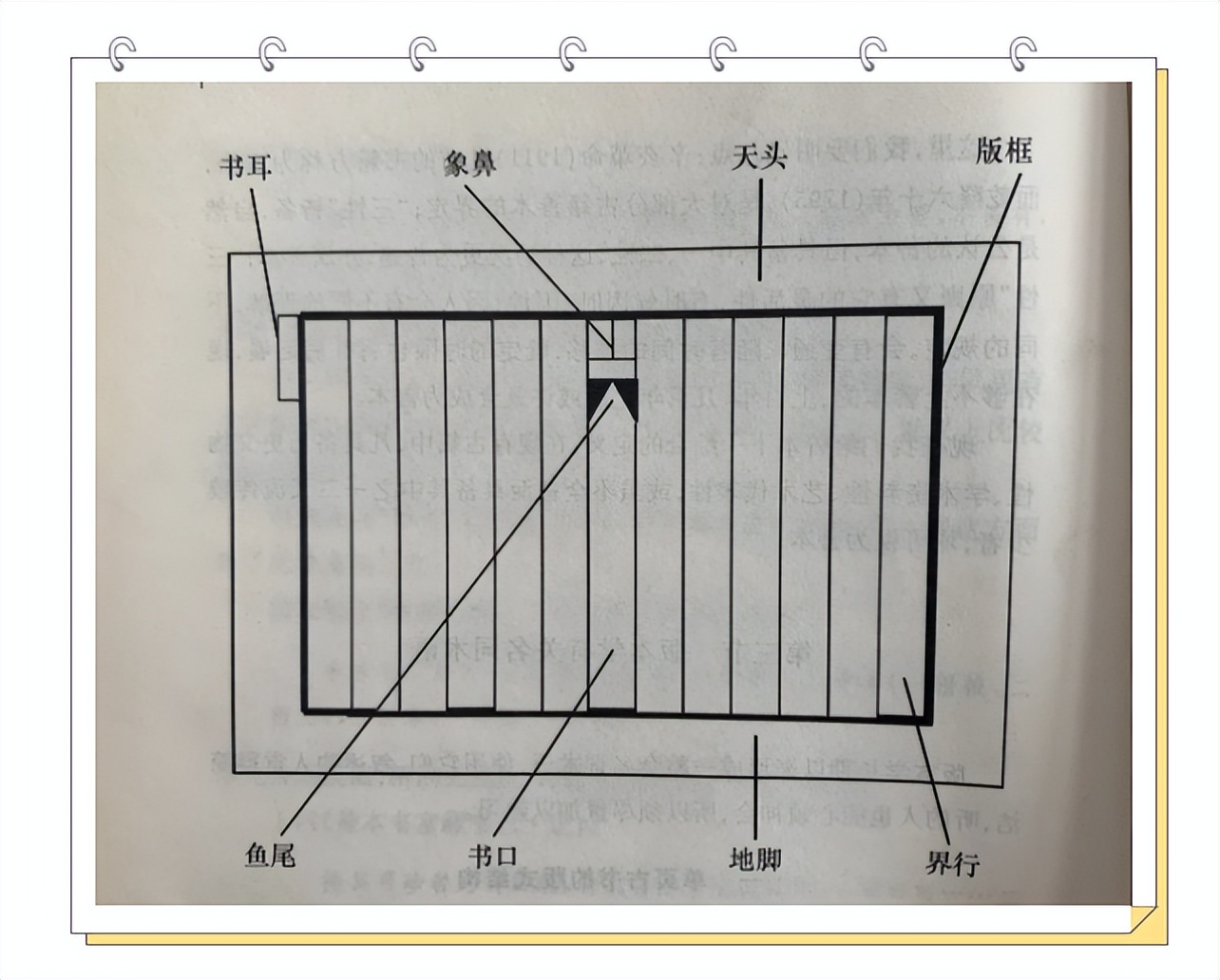 Exploring the knowledge of ancient books - layout structure - iNEWS