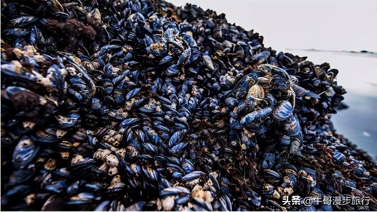 Why is the food that Africans don't eat become a "luxury" in China ...