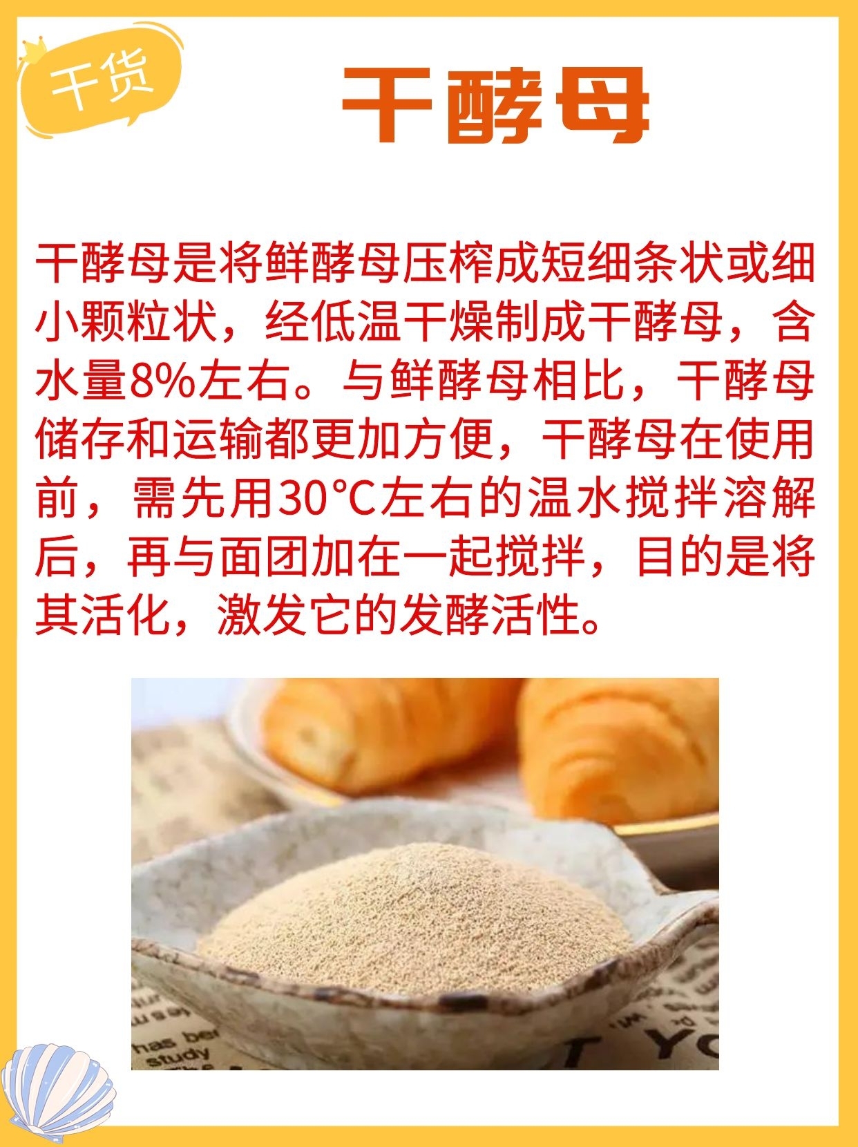 Do you really understand yeast? - iMedia