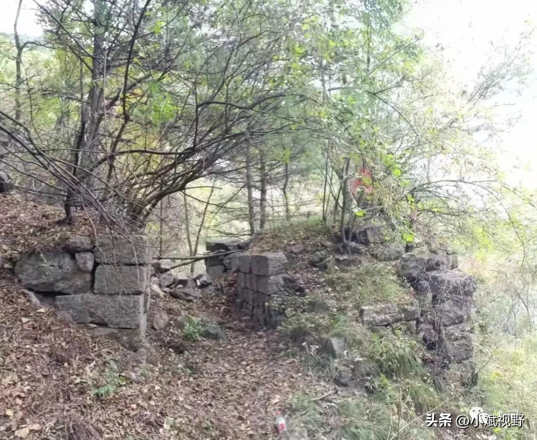 "Historical Exploration of Qinshui" Danping Situation - iNEWS