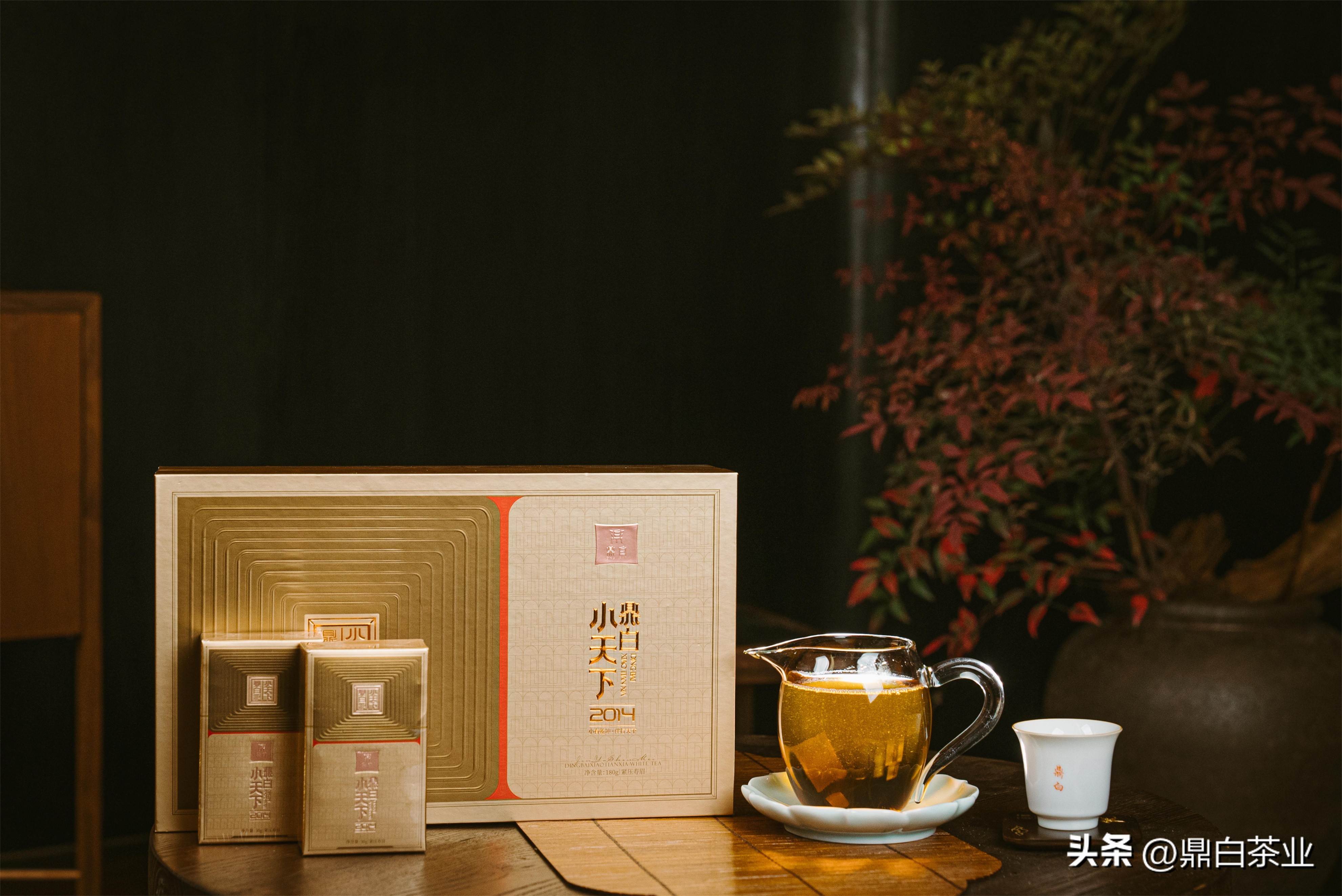 How to make a perfect pot of old white tea? - iNEWS