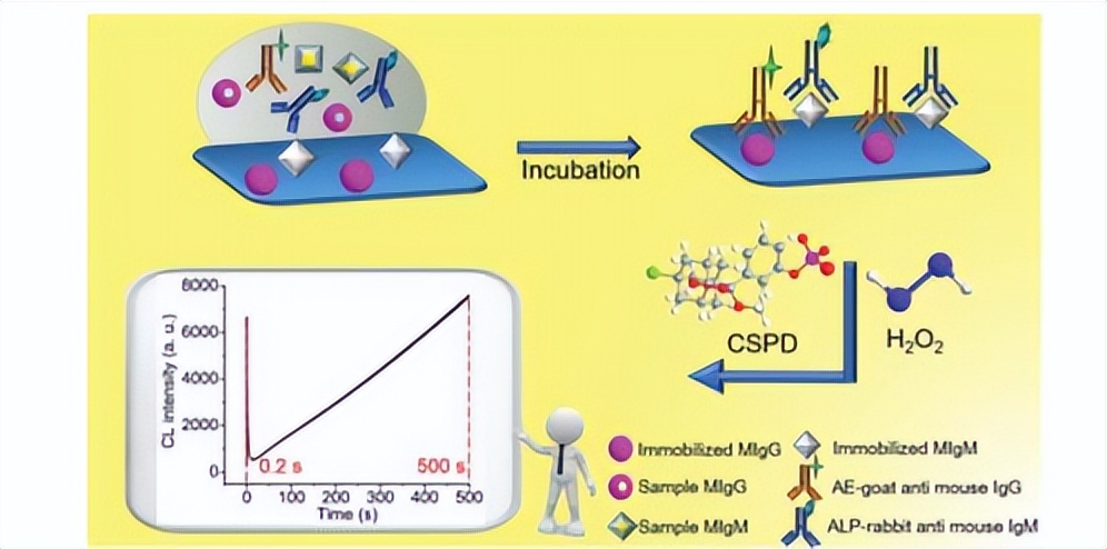 Application of carbon quantum dots in chemiluminescence analysis - iMedia