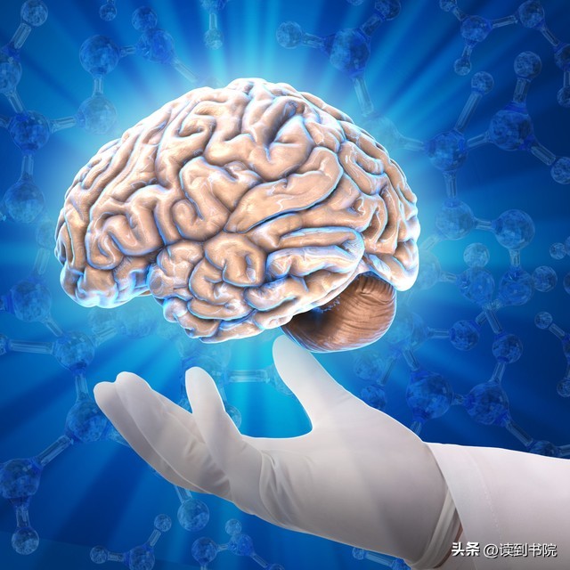 Scientists have discovered that humans actually have a second brain ...