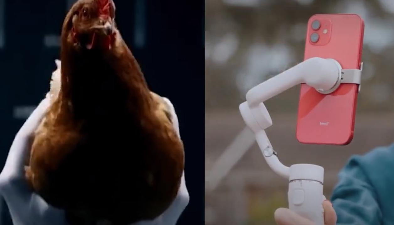 Camera x, camera chicken √, how strong is the chicken head anti-shake ...