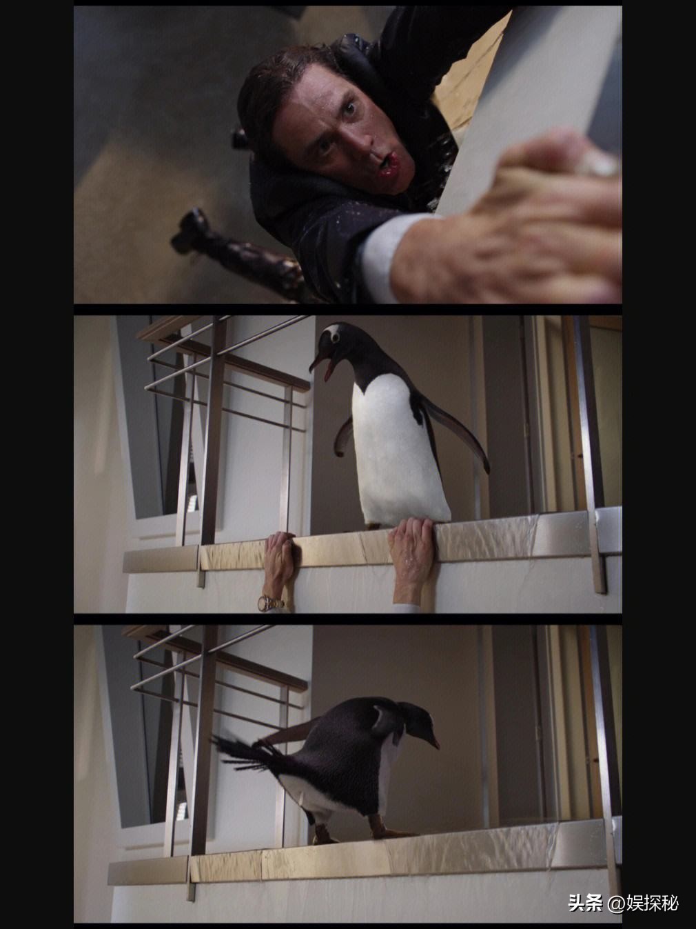 Comedy and Family Relationships: An Analysis of the Movie "Mr. Pope's ...