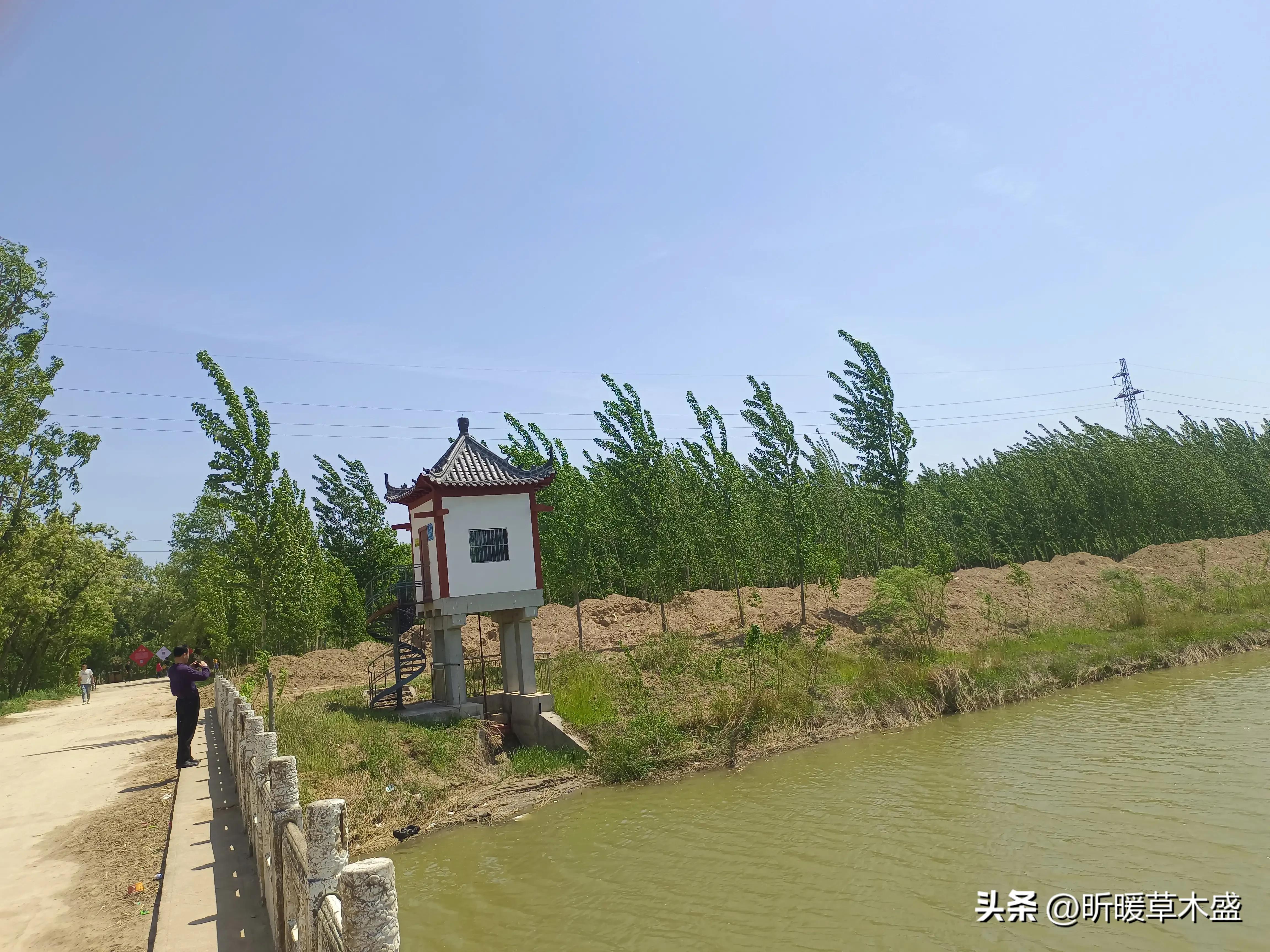 Hongtan Temple Forest Park: "Snow in May in the Huai Lin, and the ...