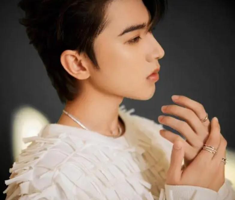 Is the money Cai Xukun earns enough to compensate? The endorsement ...