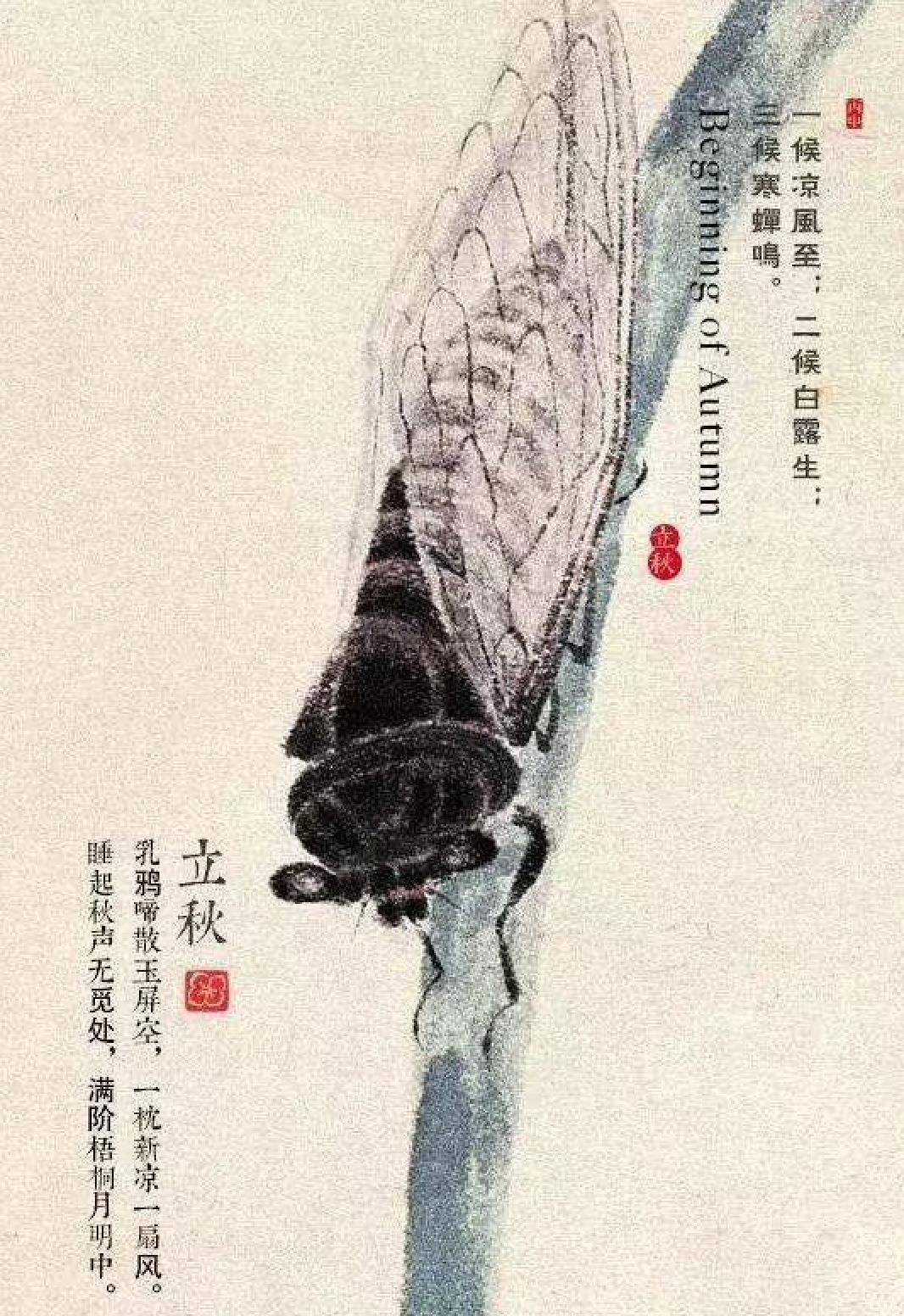 Chilling Effect - iMedia