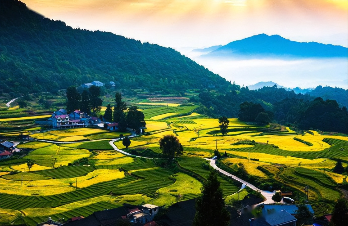 The wedding banquet in the countryside of Hunan is a strange phenomenon ...