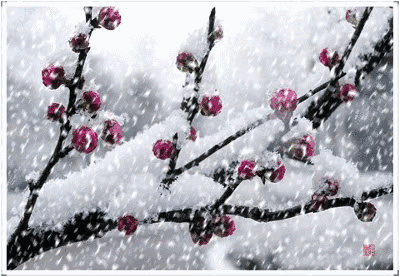 Prose: Winter Moon Snow Fluttering - iNEWS