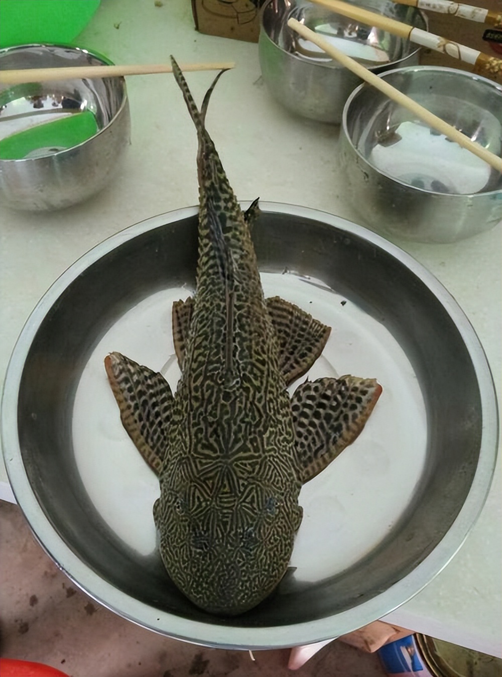 A model of biological invasion, the nemesis of freshwater fish, how ...