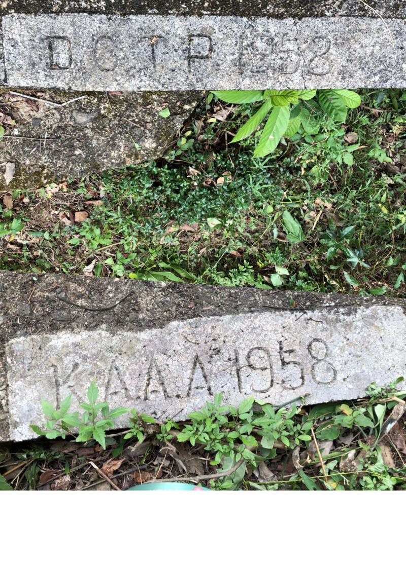 Lin Wenying: Suo Luo Basin - iNEWS