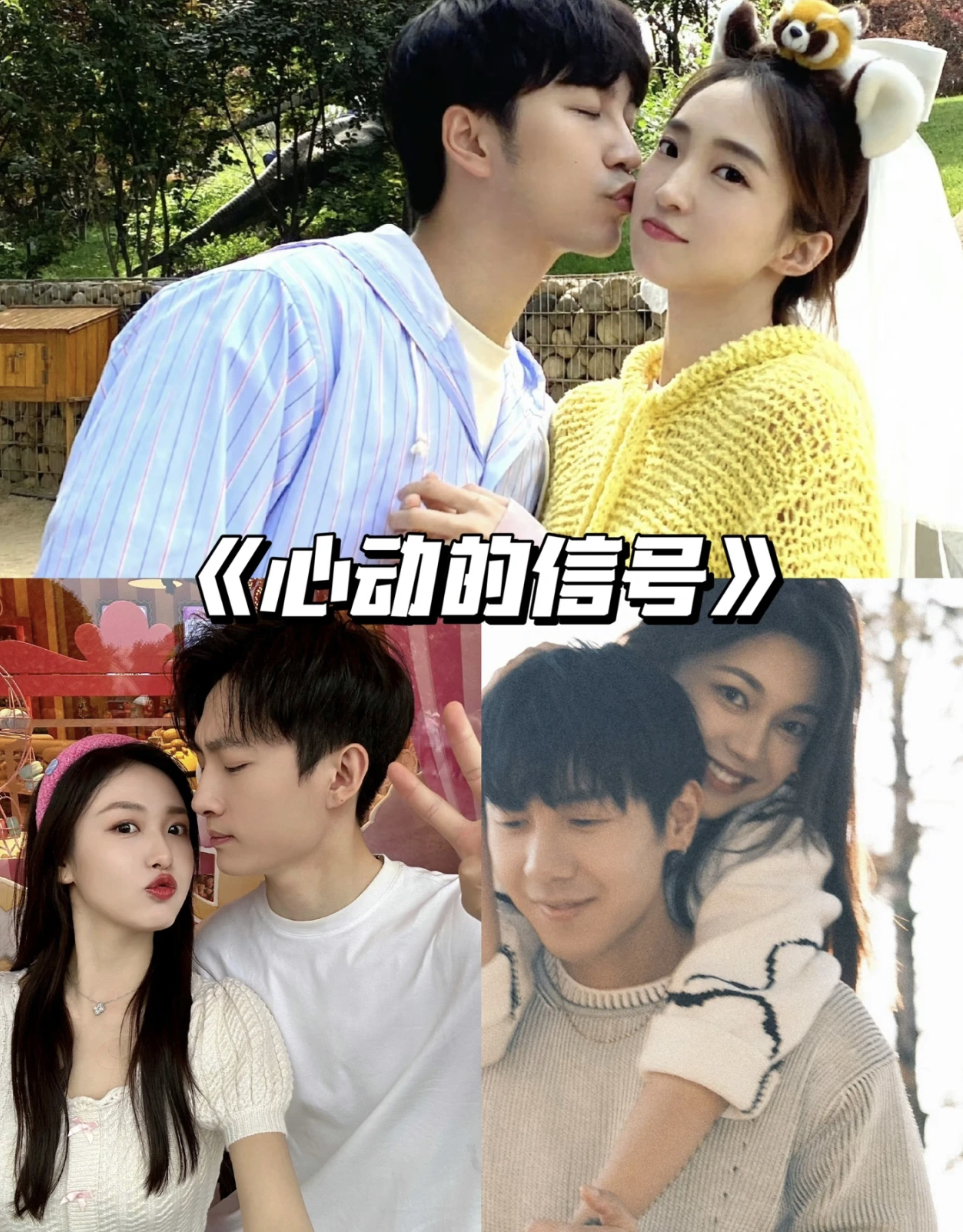 "Heartbeat Signal" CP recent situation, one couple will get married ...