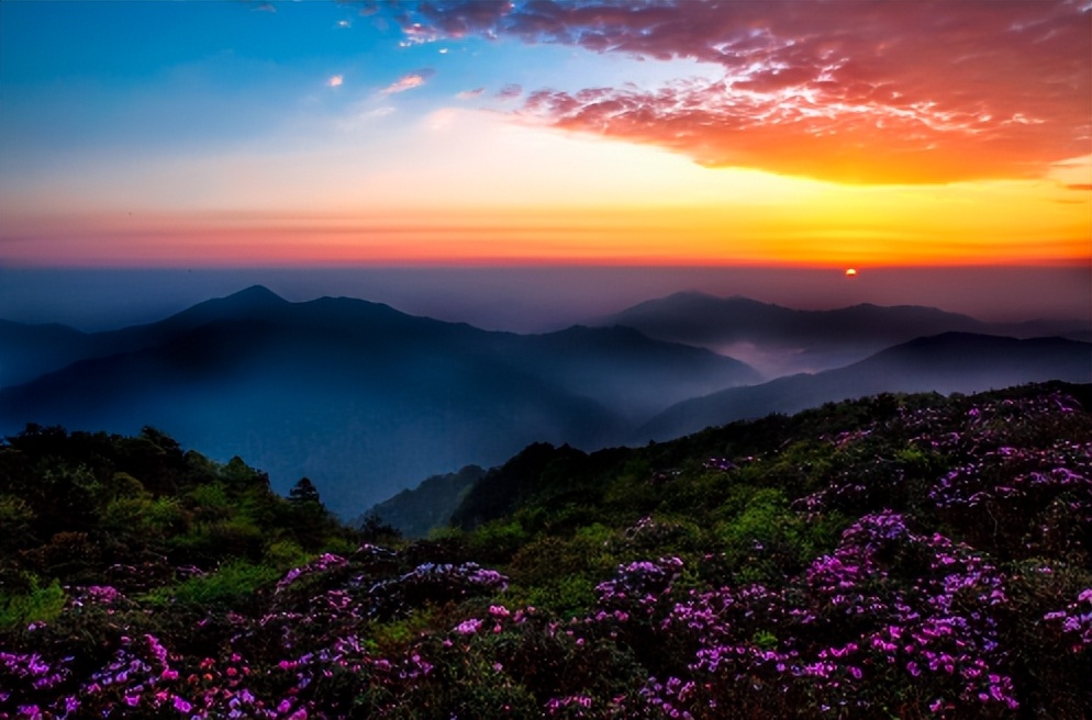 10 Classic Poems Worth Accompanying Your Life - iNEWS