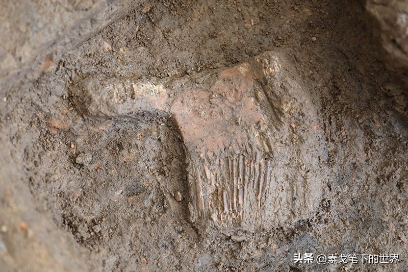 The Stone Age to Neolithic transition in Iran: zooarchaeological ...