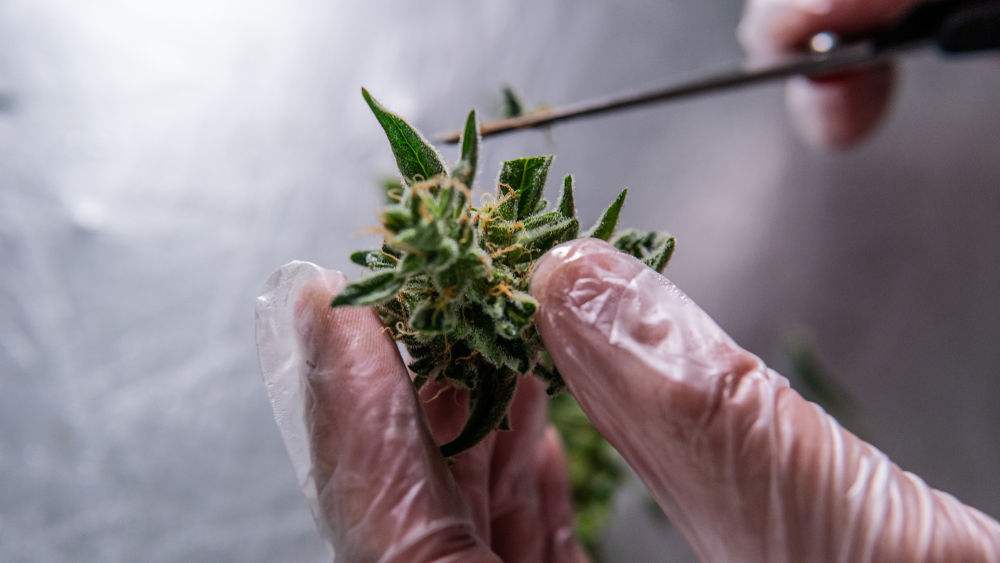 Lesser known "nine oldest objects ever found" - iNEWS