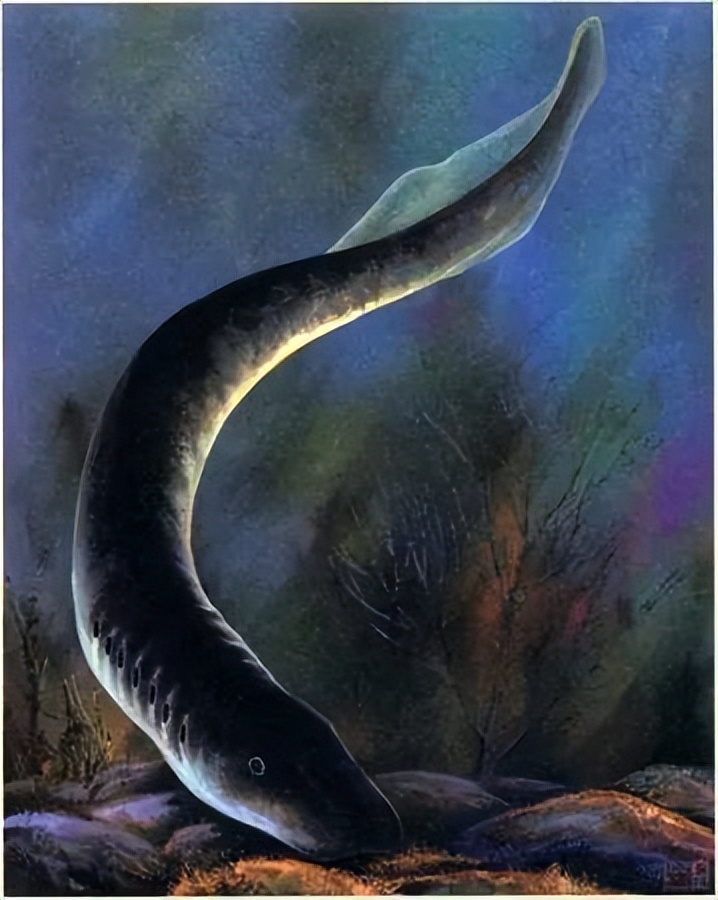 Water Vampires in the Age of Dinosaurs - Mesozoic Eels - iNEWS