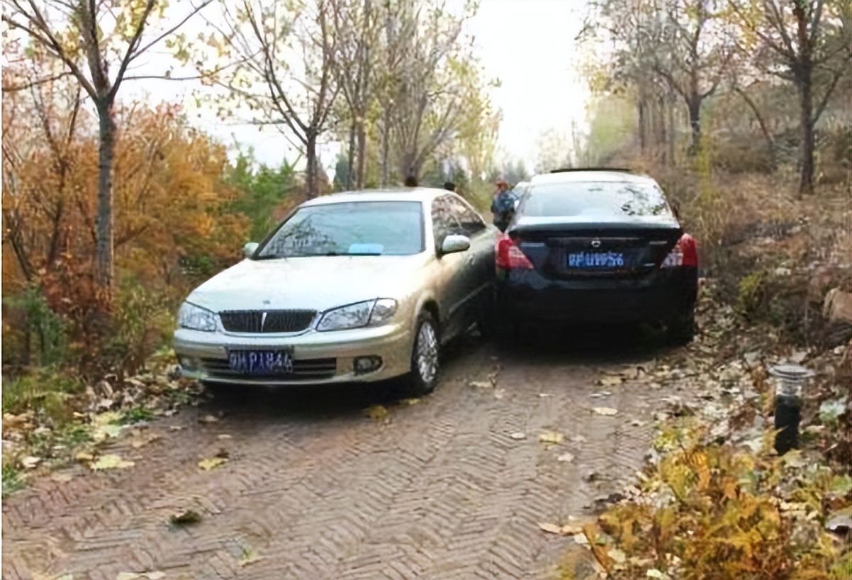 Only by cultivating the sense of driving can you drive well. Have you ...